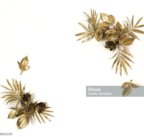 금 말린 꽃 장미와 흰색 배경에 조성 프레임을 나뭇잎 꽃 카드입니다 상단보기 평평한 누워 공간을 복사합니다 최소한의 개념 0명에 대한 스톡 사진 및 기타 이미지 Istock