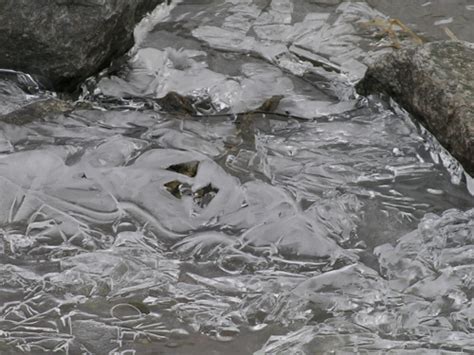 얼음 밑으로 봄노래가 오마이뉴스