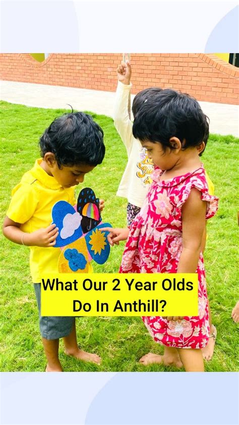 Vriksham Ant Hill Vrikshamanthill • Instagram Photos And Videos