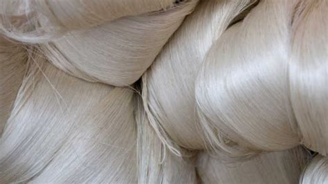 Different Types Of Silk Fibres Textile Learner