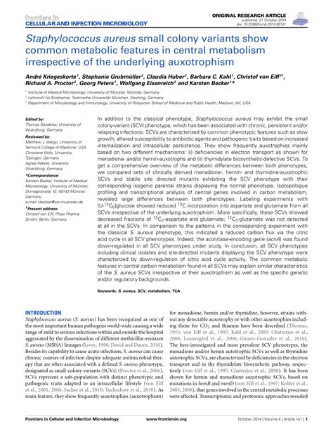 Pdf Staphylococcus Aureus Small Colony Variants Show Common Metabolic Features In Central