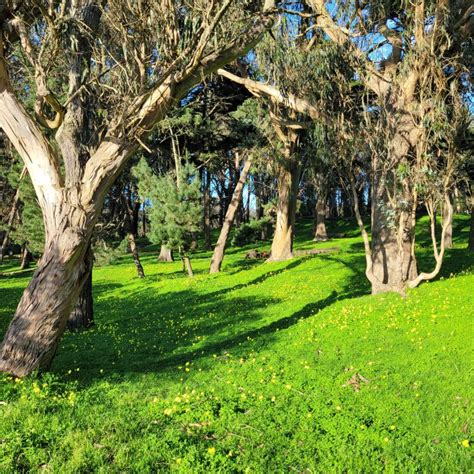 Tyler Maran On Linkedin Had To Take A Day Off Coding And Go For A Walk
