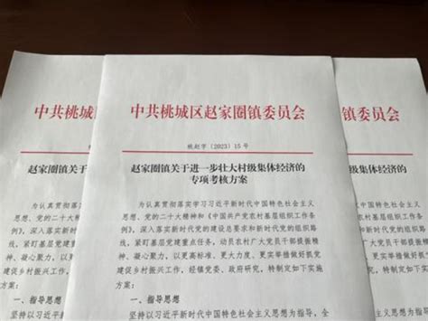 衡水市桃城区赵家圈镇党建引领擘画集体经济发展新画卷 燕赵摭英 党史博采杂志社官方网站