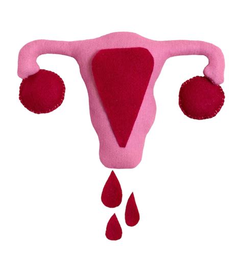 Psd Vulva Logo Oltre Modelli Psd Gratuiti Di Alta Qualità Freepik