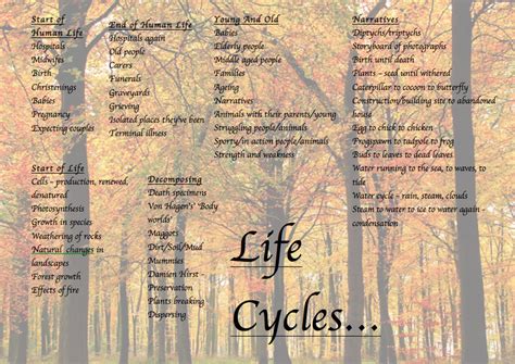 Lauren Carr Life Cycles AS Project Mind Map