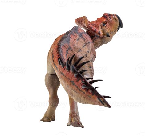 Protoceratops Dinosaur On Isolated Background 18837428 Png