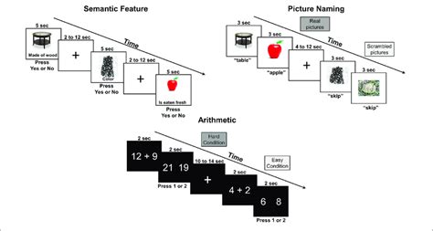 Functional Near Infrared Spectroscopy Behavioral Tasks Download