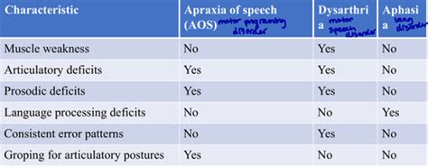 Chapter 7 Left Hemisphere Perisylvian Region Flashcards Quizlet
