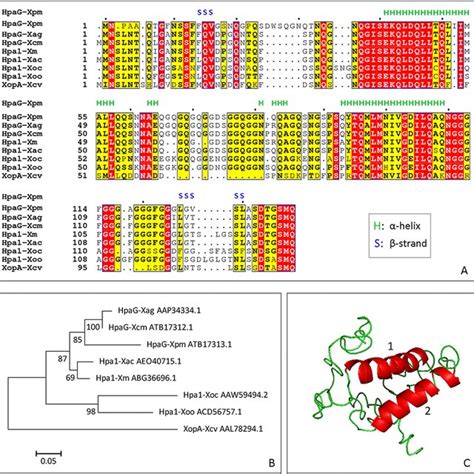 Multiple Alignment Of The Sequence Phylogenetic Tree And Prediction