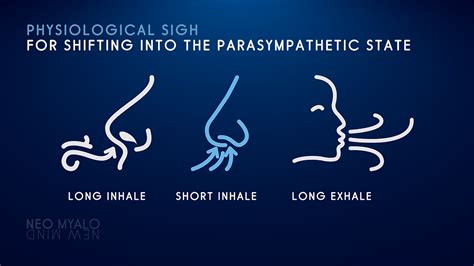 Physiological Sigh Instant Relaxation Breath