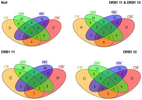 Venn Diagram Probability Of Progression Of Hbv Infection Download