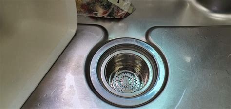 초파리 알 제거부터 하는 초파리 퇴치법 네이버 블로그