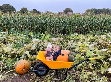 Excusethepun Maintenance Manufacturing Callum Allison