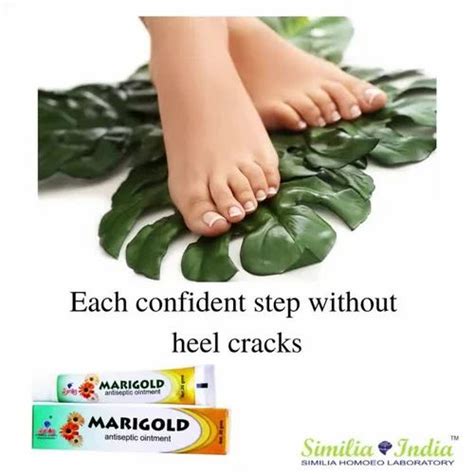 Similia Marigold Antiseptic Ointment Pack Size 20 Gram At ₹ 70piece