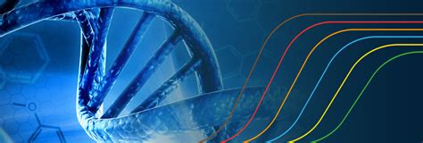 PCR和DNA扩增 Biotium 中国区总代理 上海开放生物