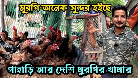 মুরগি অনেক সুন্দর হইছে পাহাড়ি আর দেশি মুরগির খামার Shakilfarming পাহাড়িমুরগি Murgi Youtube