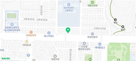 대구골프피팅 파스피코 여성용 아이언셋트 Mfs X Series Mfs Bella Shaft 네이버 블로그