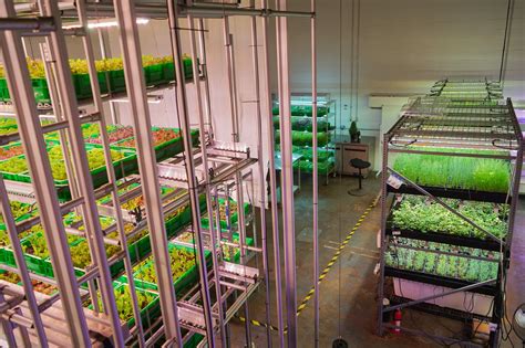 Controlled Environment Agriculture Cea — Area 2 Farms