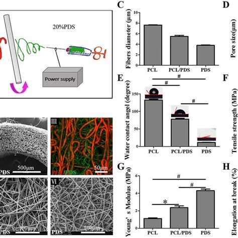 Pdf Small Diameter Hybrid Vascular Grafts Composed Of Polycaprolactone And Polydioxanone Fibers
