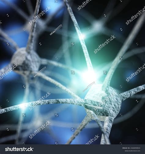 Neuron Neuron Transmits Signal Nerve Node Stock Illustration 2164459933