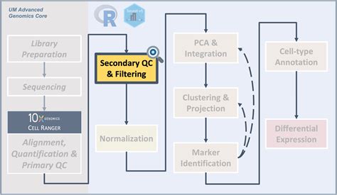 Secondary Quality Control And Filtering Secondary Quality Control And Filtering