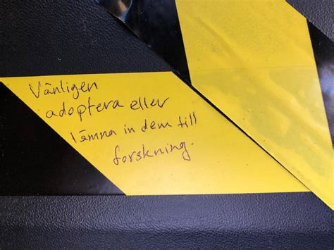 Vakter Tog Sex Slemmiga Typer I Tunnelbanan