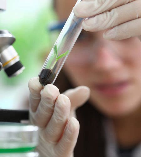 Soil And Agriculture Anacon Laboratories