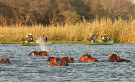 Kafue National Park Safaris Zambia Expert Africa
