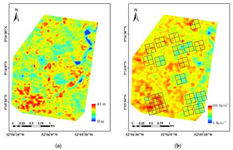 Lidar Derived Canopy Height Model Chm A And The Forest Above Ground Download Scientific