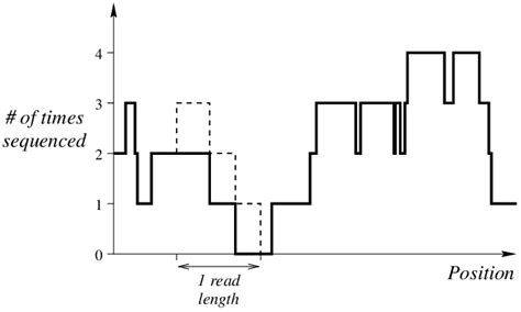 Coverage Profile Showing The Number Of Times Positions Along A Section Download Scientific
