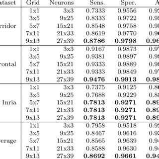Classification Performance For Different Grid Sizes And Datasets Download Table