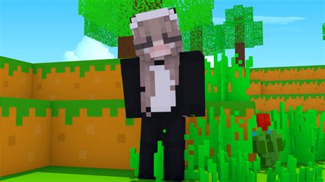Is That A Panda Skin Pack Minecraft Bedrock Addons