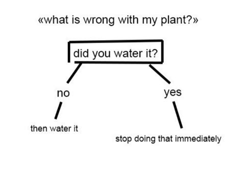 Every Question Answered In Graph Form Reverydoodleday