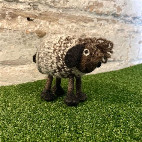 Tina The Sheep The Nook Tenby
