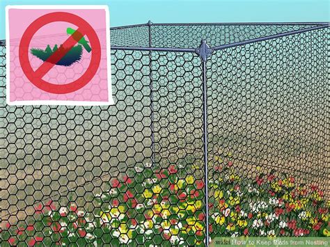 3 Ways To Keep Birds From Nesting WikiHow
