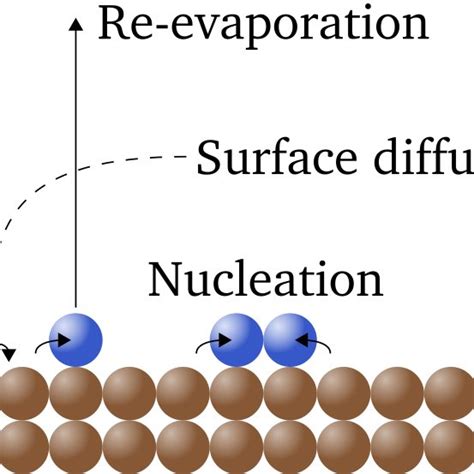 2 Schematic Diagram Of Surface Processes During Nucleation And Growth Download Scientific