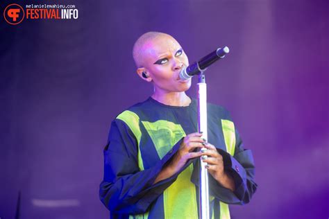 Foto Sex Pistols Ft Frank Carter Op Paléo 2025 Op Festivalinfo Foto 201 Van 245