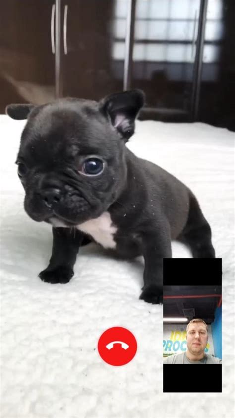 C Как в Unity выводить камеру с андроида в портретном режиме