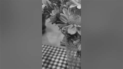 쇼펜하우어 자살하지 마라 나와는 상관 없이 세상은 잘 돌아간다 Youtube