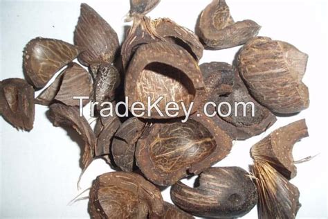Raw Coconut Shells Coconut Kernel Shells For Energy Palm Kernel Shell