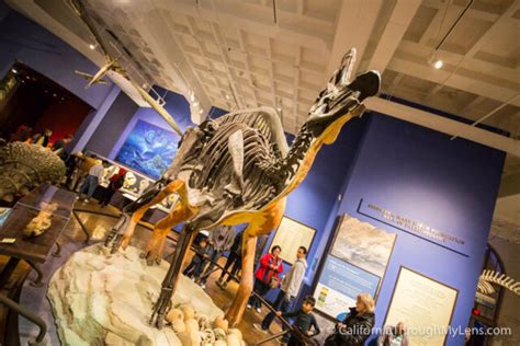 Thenat San Diego Natural History Museum In Balboa Park California