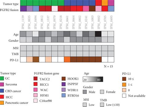 Clinicopathological Landscape Of Patients Exhibiting Fgfr2 Fusion Among Download Scientific