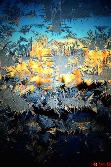 추운 겨울 유리에 맺힌 예술품 화려하고 신비로운 얼음꽃 10