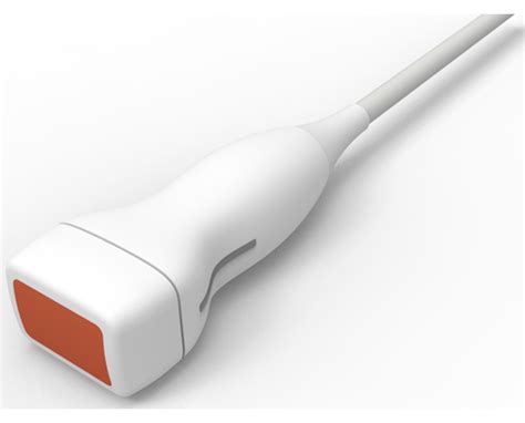 ultrasound transducer storage cabinet at walter mcglothlin blog