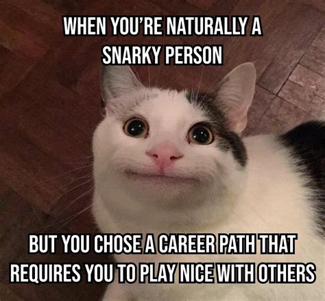 Snarky Friend Memes