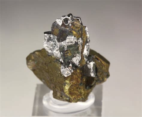 Quebul Fine Minerals Sperrylite Chalcopyrite