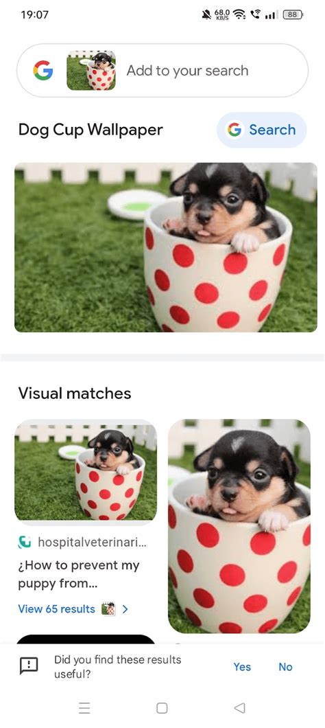 Google Reverse Image Search Unveiling Image Sources Attribution