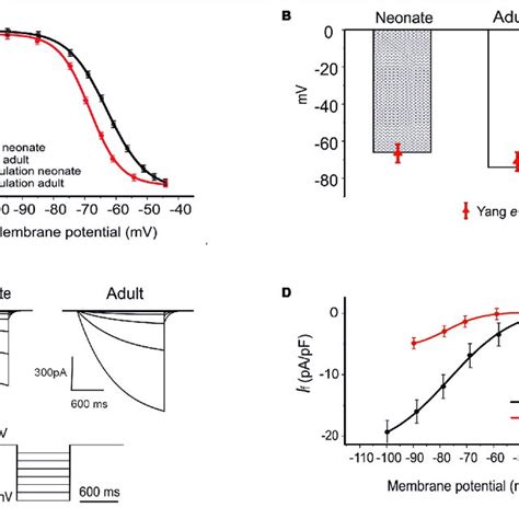 Model Of I F And Its Comparison To Experimental Data A The