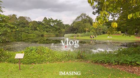 Vlog 싱가포르일상 차이나타운의 두 동베이차이东北菜 동북인가and동북소주 여름나라 일상 보타닉 가든 Youtube