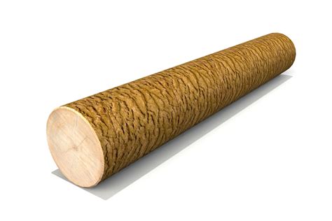 Tree Trunks A E Evans